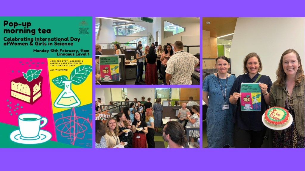 International Women’s Day – 8 March – ARC Training Centre for Future ...