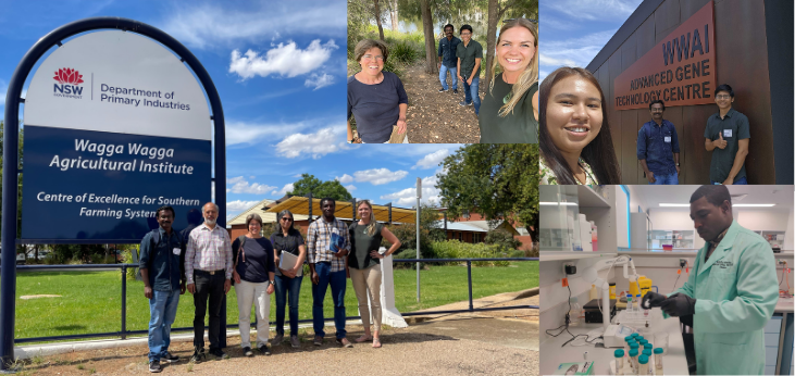 Visit to NSW DPI – Wagga Wagga – ARC Training Centre for Future Crops ...